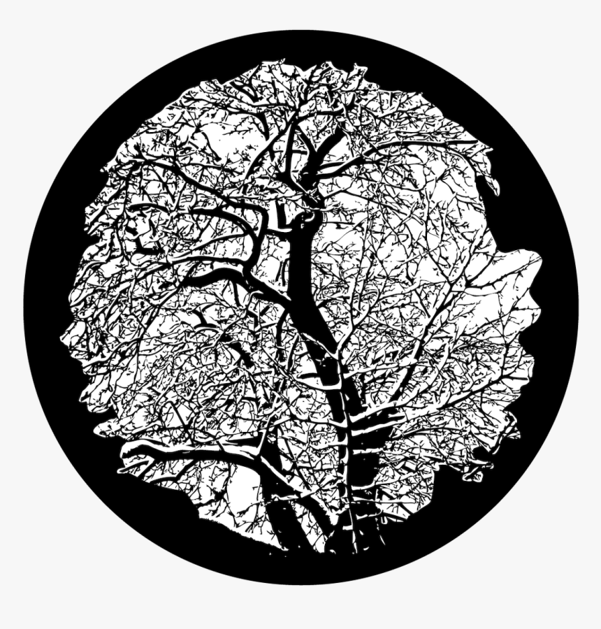 Apollo Winter Tree - Glass Gobo Tree, HD Png Download , Transparent Png ...