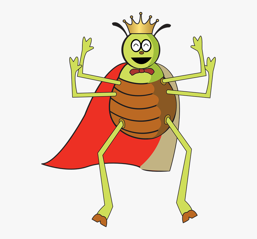 Bug Wearing A Crown, HD Png Download , Transparent Png Image - PNGitem