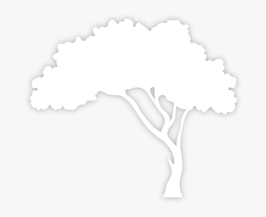 White Tree Png Silhouette, Transparent Png , Transparent Png Image ...