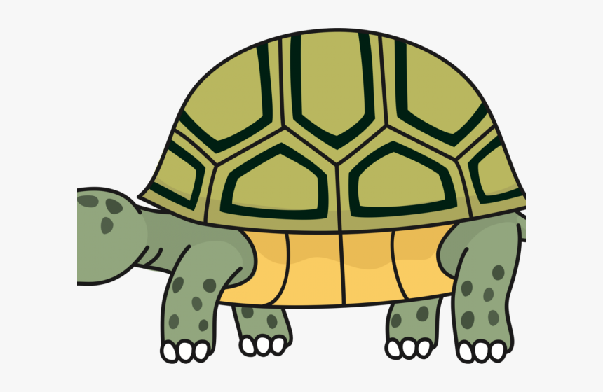 Turtoise Clipart Desert Tortoise - Clip Art Tortoise, HD Png Download ...