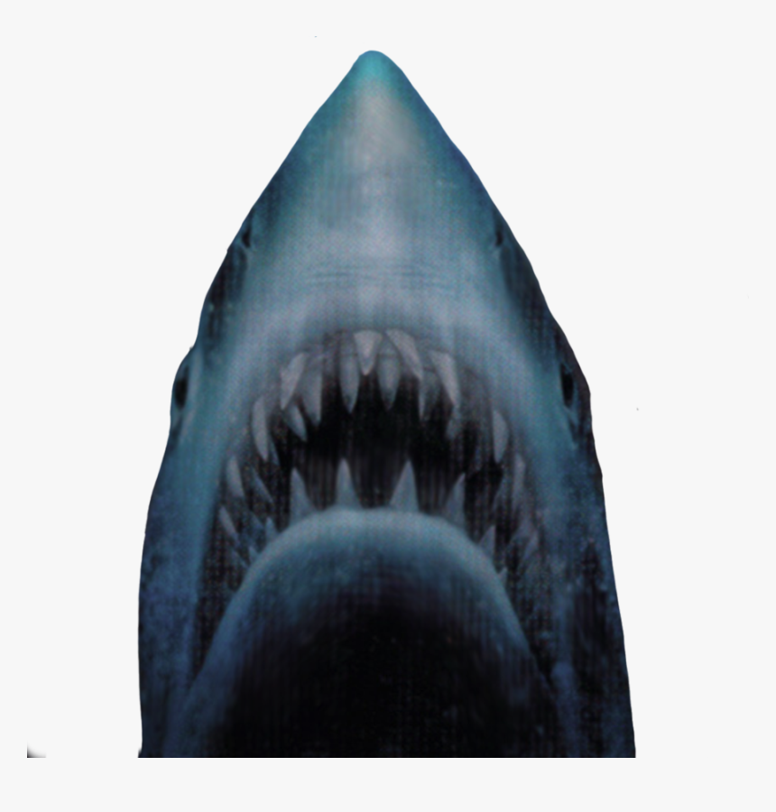 Thumb Image - Jaws Shark Transparent Background, HD Png Download ...