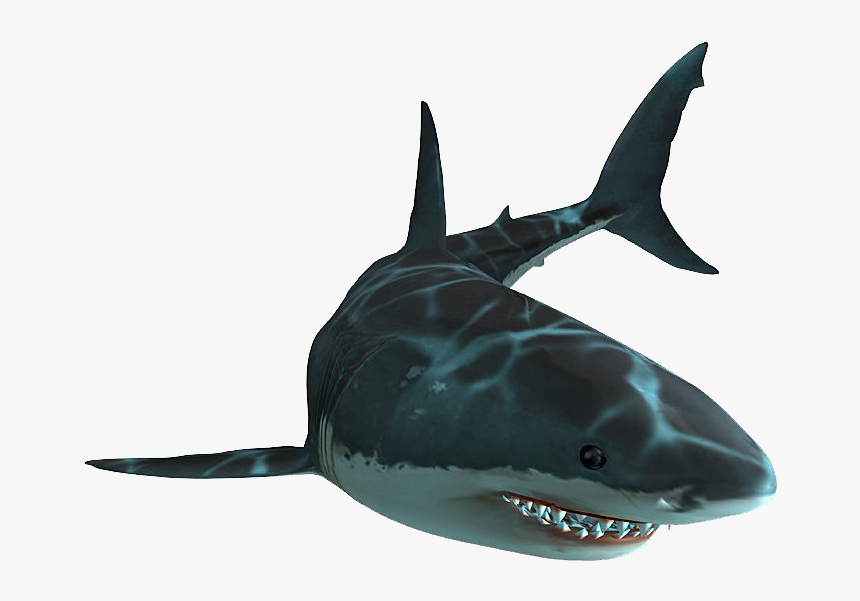 Jaws Png Page - Jaws Unleashed Great White Shark, Transparent Png ...