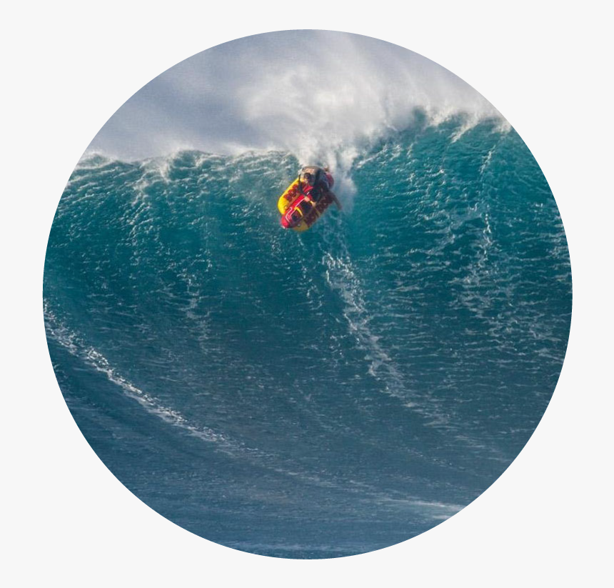 Jaws Png, Transparent Png , Transparent Png Image - PNGitem