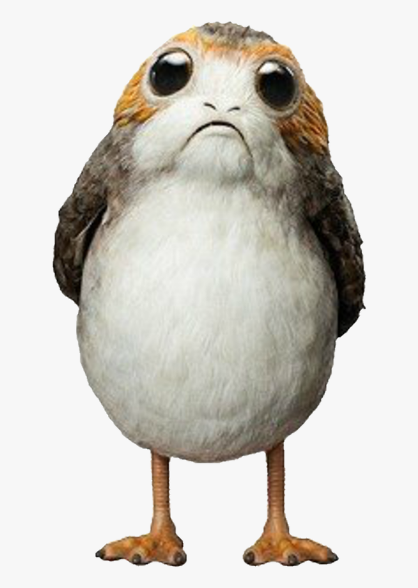 Porg Png - Porg Star Wars, Transparent Png , Transparent Png Image ...