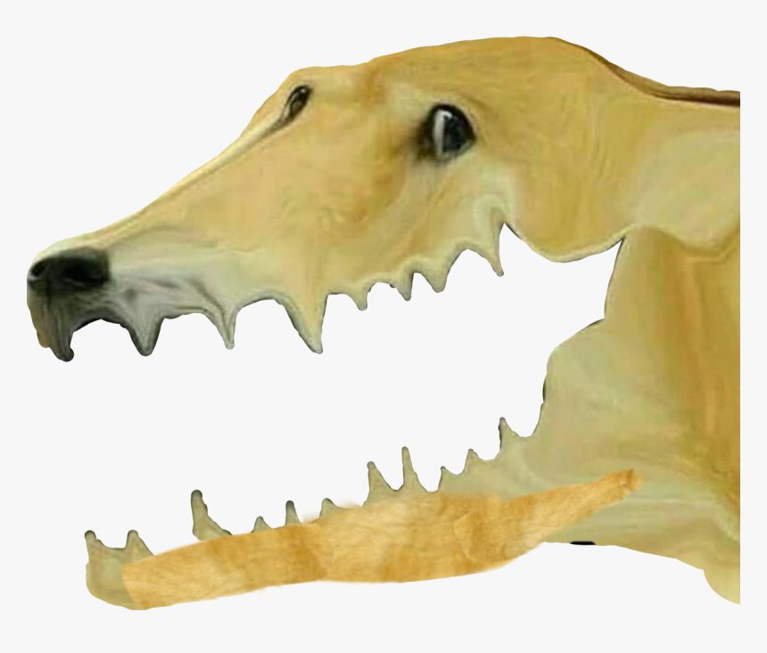 Fang, HD Png Download , Transparent Png Image - PNGitem