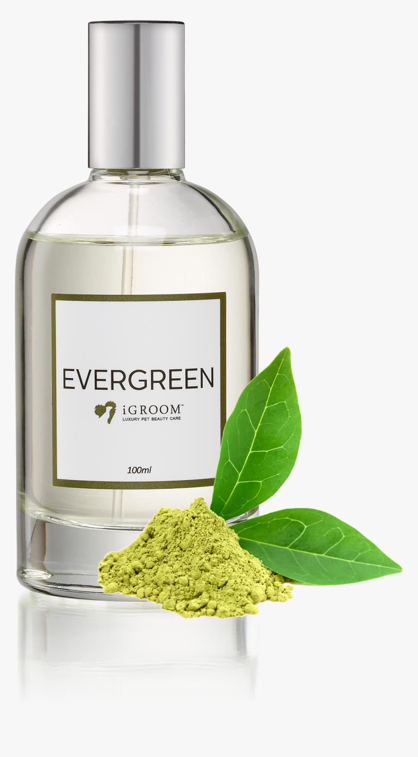 Perfume, HD Png Download , Transparent Png Image - PNGitem