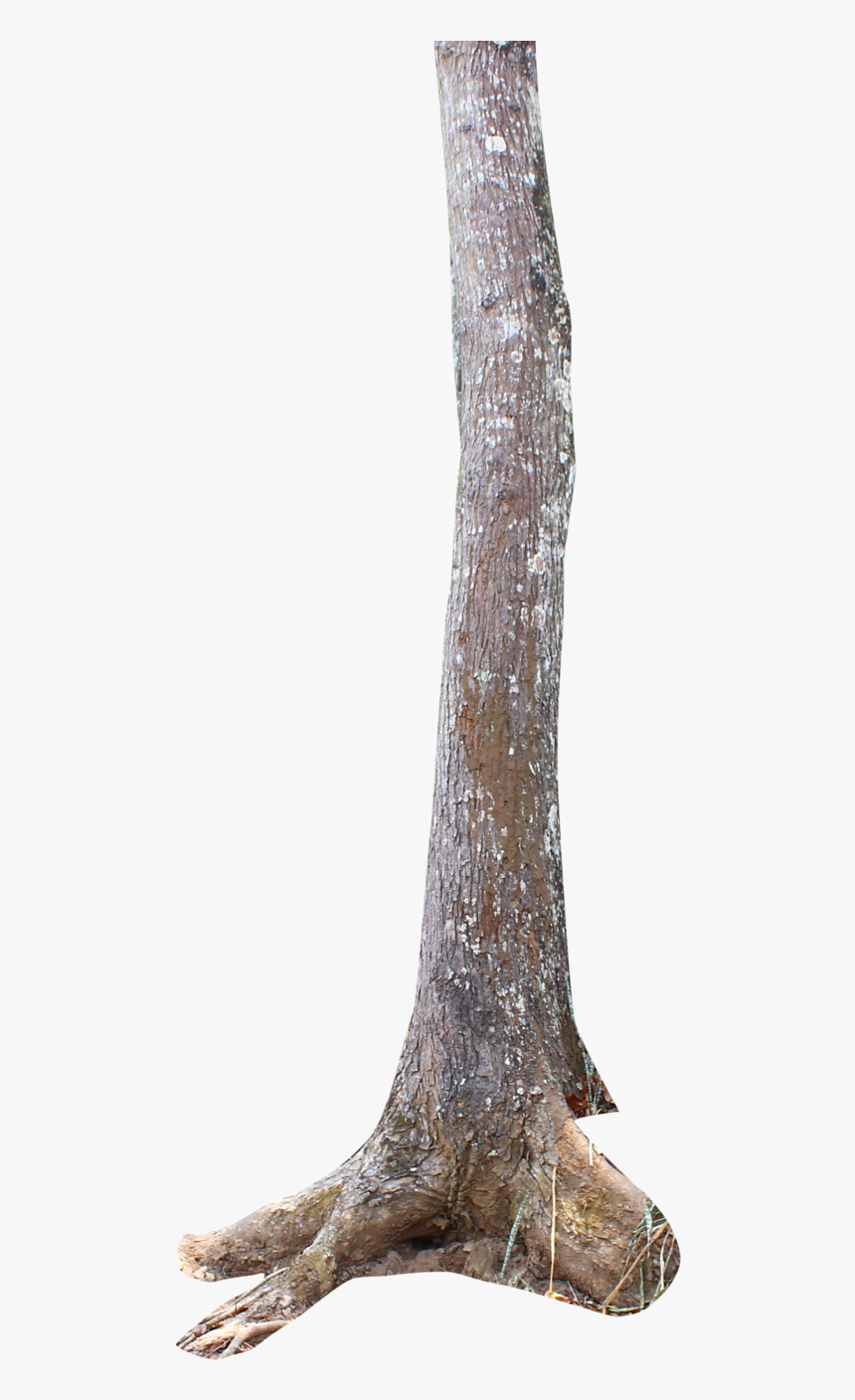 Thumb Image - Tree Trunk Png, Transparent Png , Transparent Png Image ...
