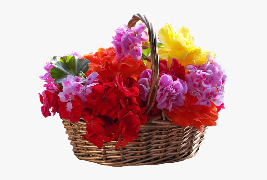 Top Flower Images For Whatsapp And Facebook - Flower, HD Png Download ...