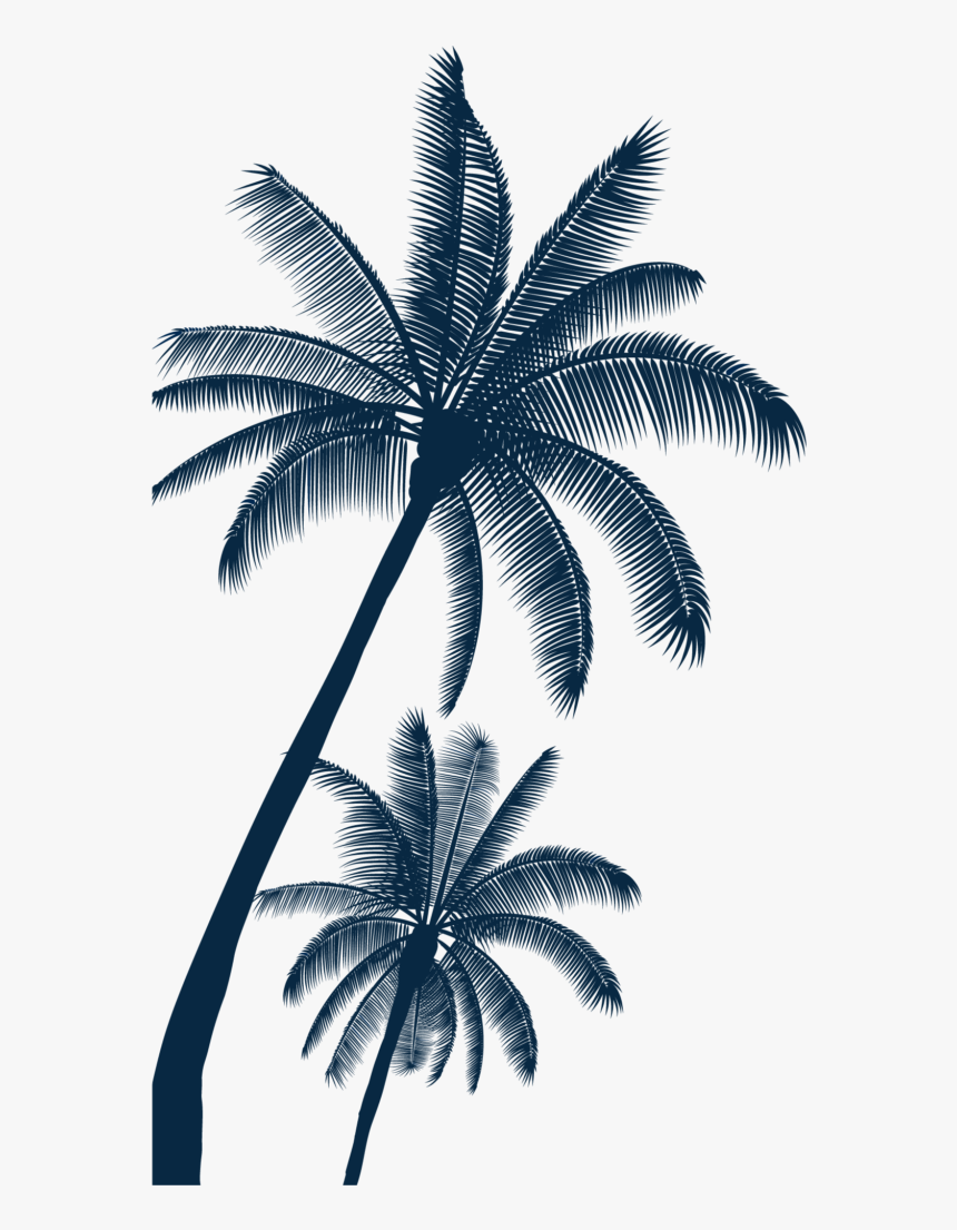 Sunset Vector Art Beach, HD Png Download , Transparent Png Image - PNGitem