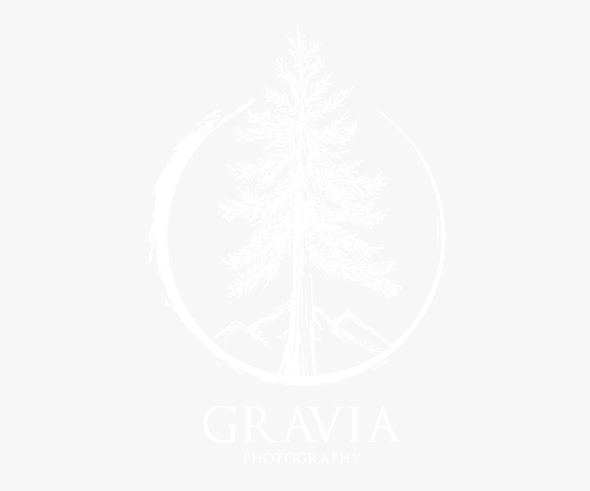 Gravia Logo - White Raven, HD Png Download , Transparent Png Image ...