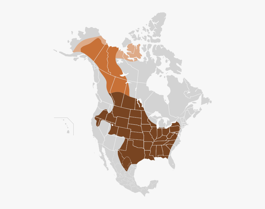 Original Distribution - Bison Map, HD Png Download , Transparent Png ...