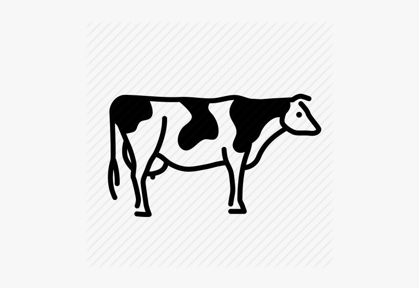 Cow - Transparent Beef Cow Icon, HD Png Download , Transparent Png ...