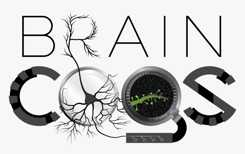 Brain Cogs On White Brain Cogs On White, HD Png Download , Transparent ...
