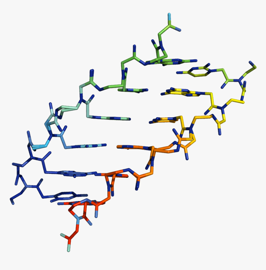 Gun Barrel, HD Png Download , Transparent Png Image - PNGitem