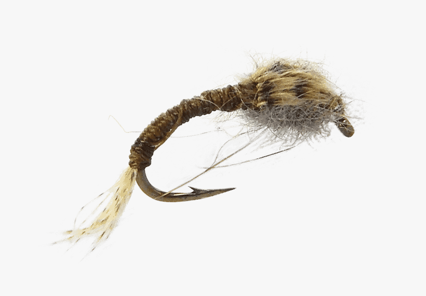 Midge Larva, Emerger Fly Pattern, Mayfly Emerger Fly, - Fishing Fly Png ...