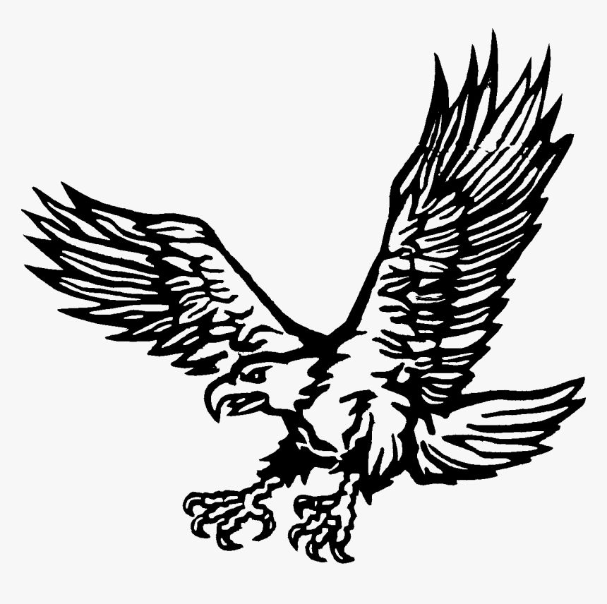 Thumb Image - Shaheen Coloring Pages, HD Png Download , Transparent Png ...