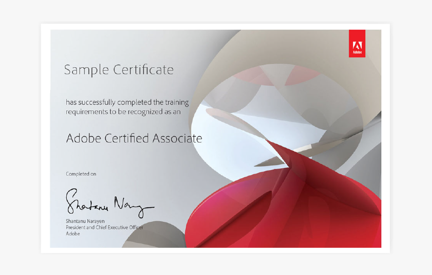 Adobe Certified Associate Certificate, HD Png Download , Transparent ...