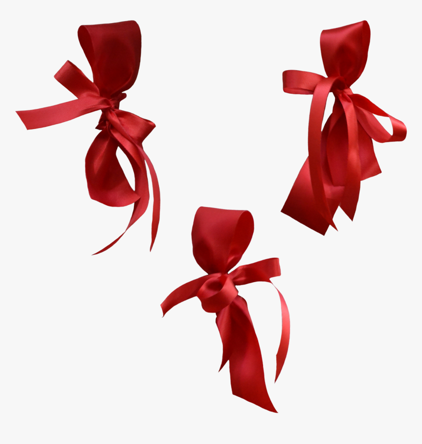 Gift Wrapping, HD Png Download , Transparent Png Image - PNGitem