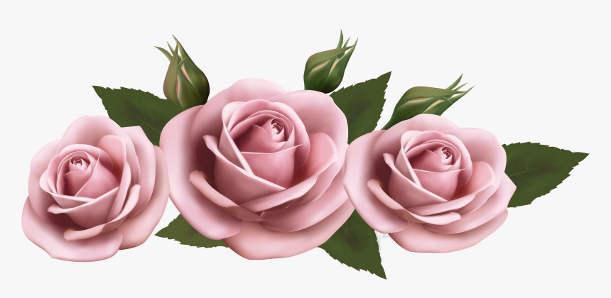 Falling Roses Png, Transparent Png , Transparent Png Image - PNGitem