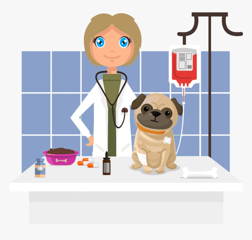 Vet - Cartoon, HD Png Download , Transparent Png Image - PNGitem