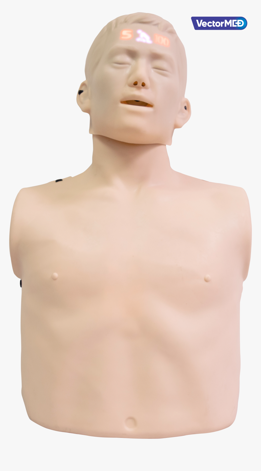 Vectormed Vm-cpr Manikin - Mannequin, HD Png Download , Transparent Png ...