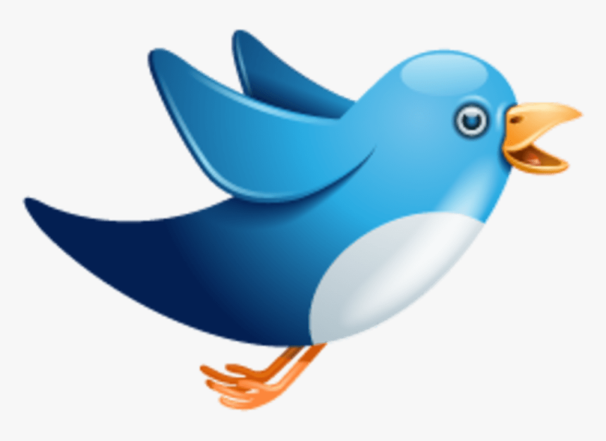 Twitter Vector Icons Massive Icon Set - Twitter Bird Flying, HD Png ...