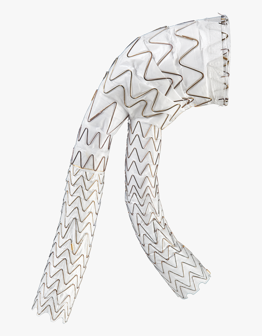 Gore® Excluder® Conformable Aaa Endoprosthesis With - Illustration, HD ...