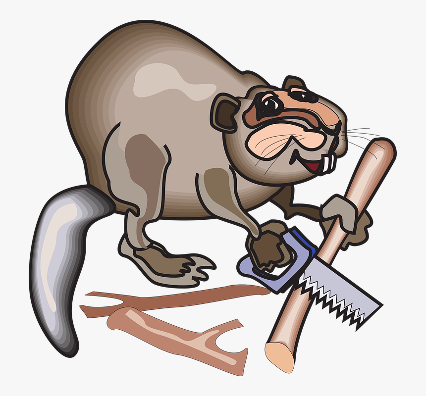 Beaver Png, Transparent Png , Transparent Png Image - PNGitem