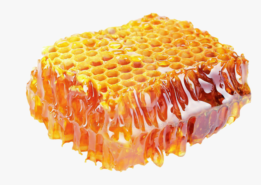 Honey Png - Transparent Background Honey Png, Png Download ...