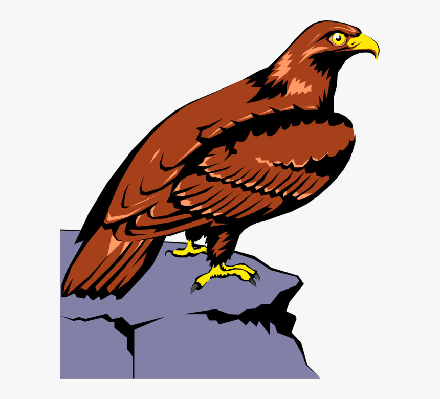 Free Bird Of Prey Clipart
