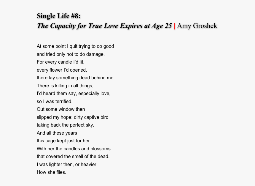 Single Life - Love The Single Life, HD Png Download , Transparent Png ...