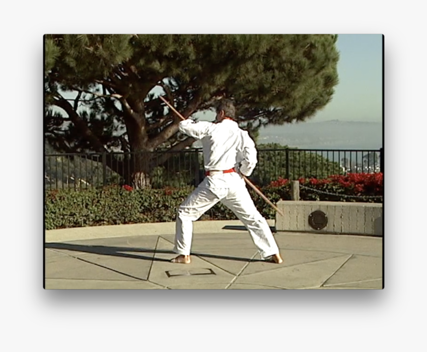 Complete Okinawa Isshin Ryu Karate Vol 3 By Kim Murray - T'ai Chi Ch ...