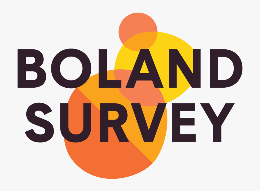 Ccvo Boland Survey Combination Mark - Nonprofit Organization, HD Png ...
