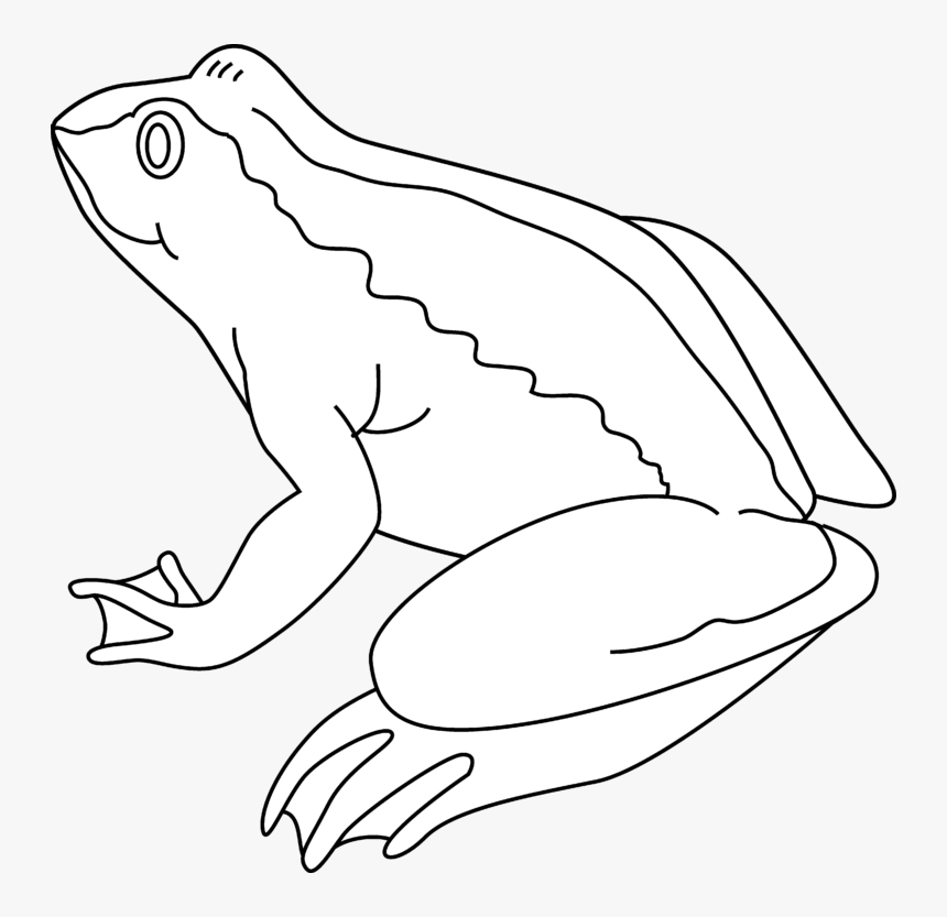Frog Images Clipart Black And White