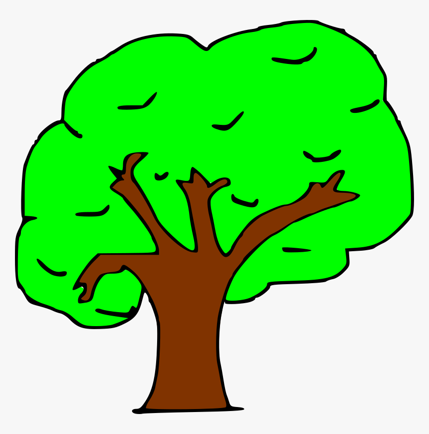 Arbol, HD Png Download , Transparent Png Image - PNGitem