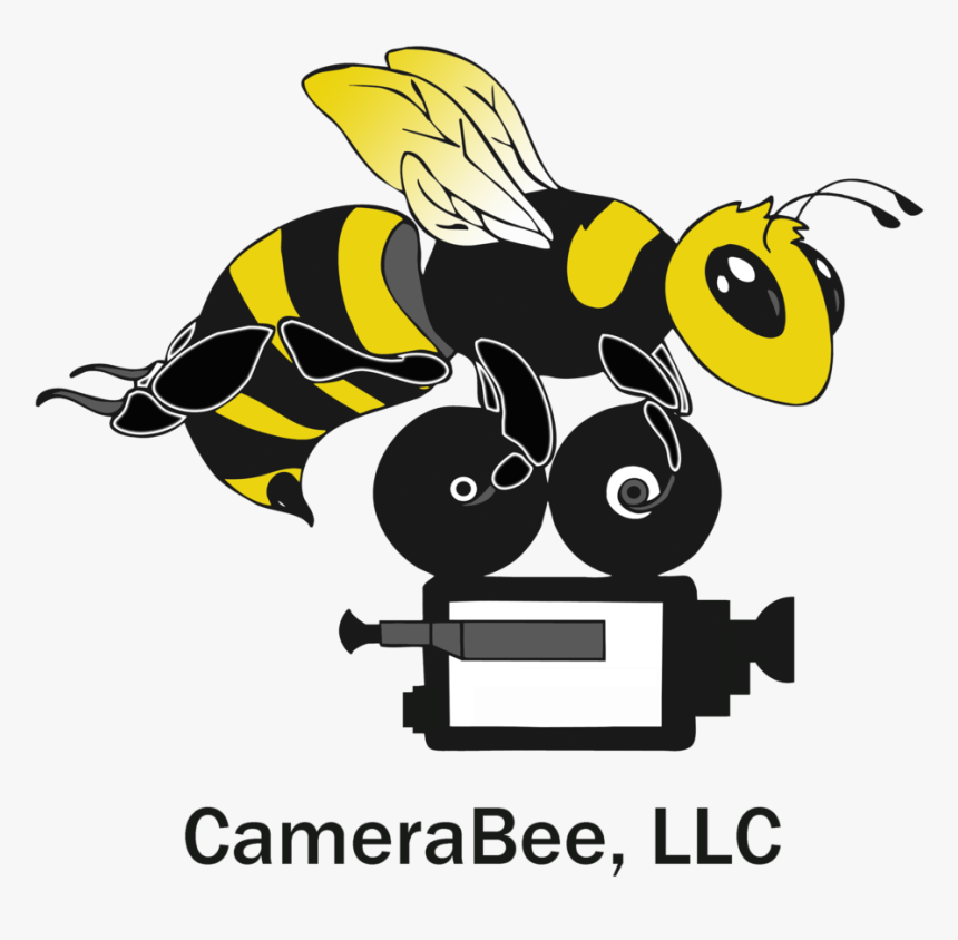 Cartoon Camera Png, Transparent Png , Transparent Png Image - PNGitem