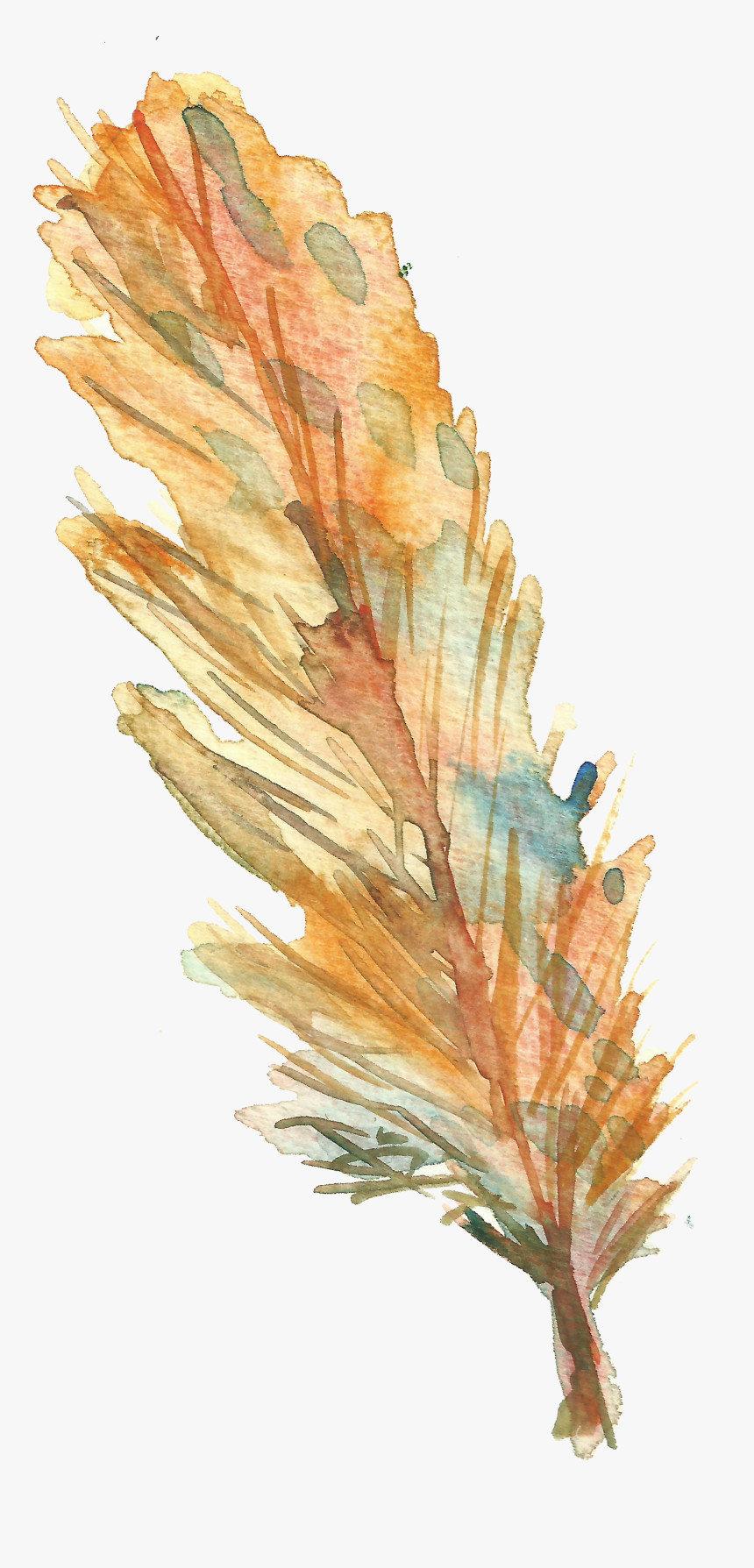 Bird Feather Drawing - Feather Drawing Yellow, HD Png Download ...