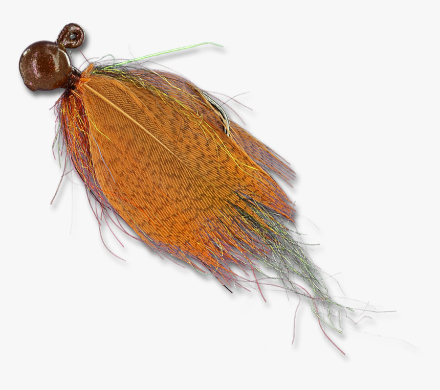 Float N Flies - Insect, HD Png Download , Transparent Png Image - PNGitem