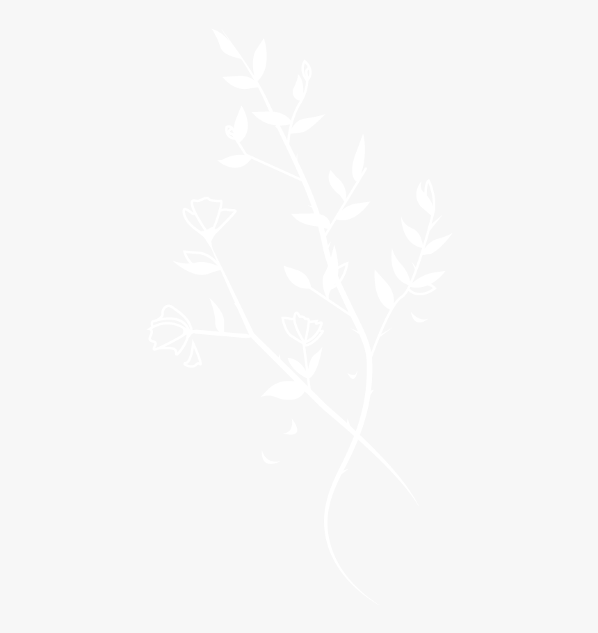 Native Instruments Logo White, HD Png Download , Transparent Png Image ...