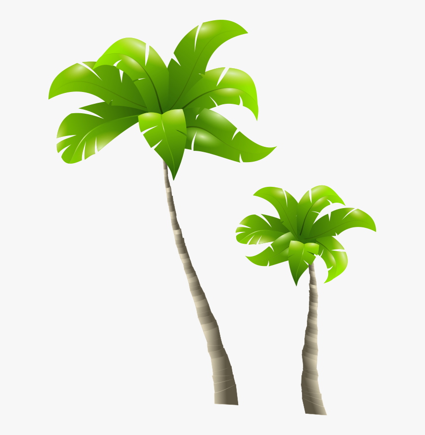 Tall Tree And Short Tree, HD Png Download , Transparent Png Image - PNGitem