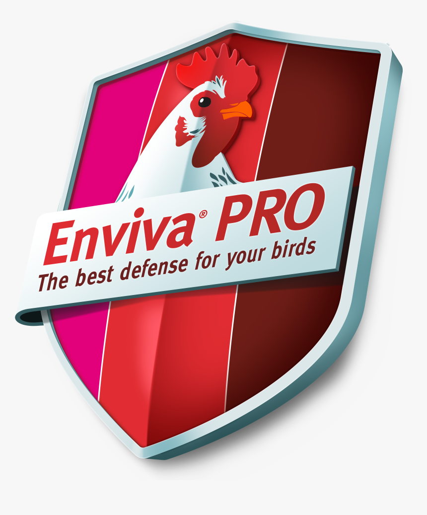 Chapu, HD Png Download , Transparent Png Image - PNGitem