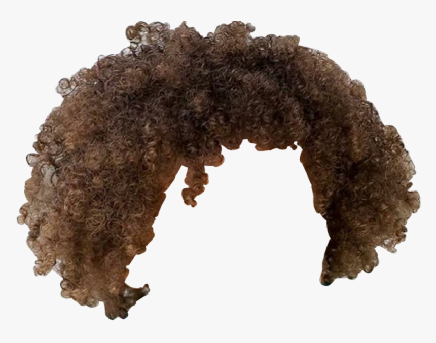 #afro #hair #brown #curls - Bob Ross Hair Png, Transparent Png ...