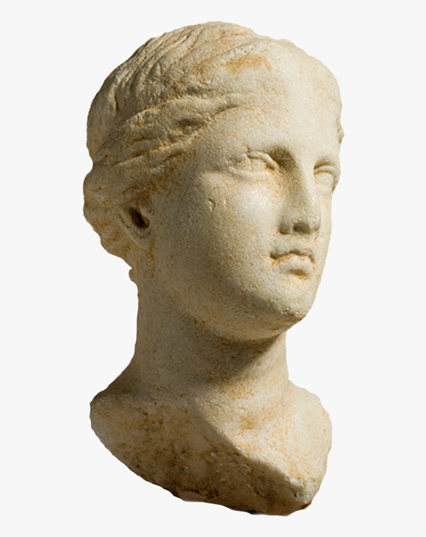 Image - Bust, HD Png Download , Transparent Png Image - PNGitem