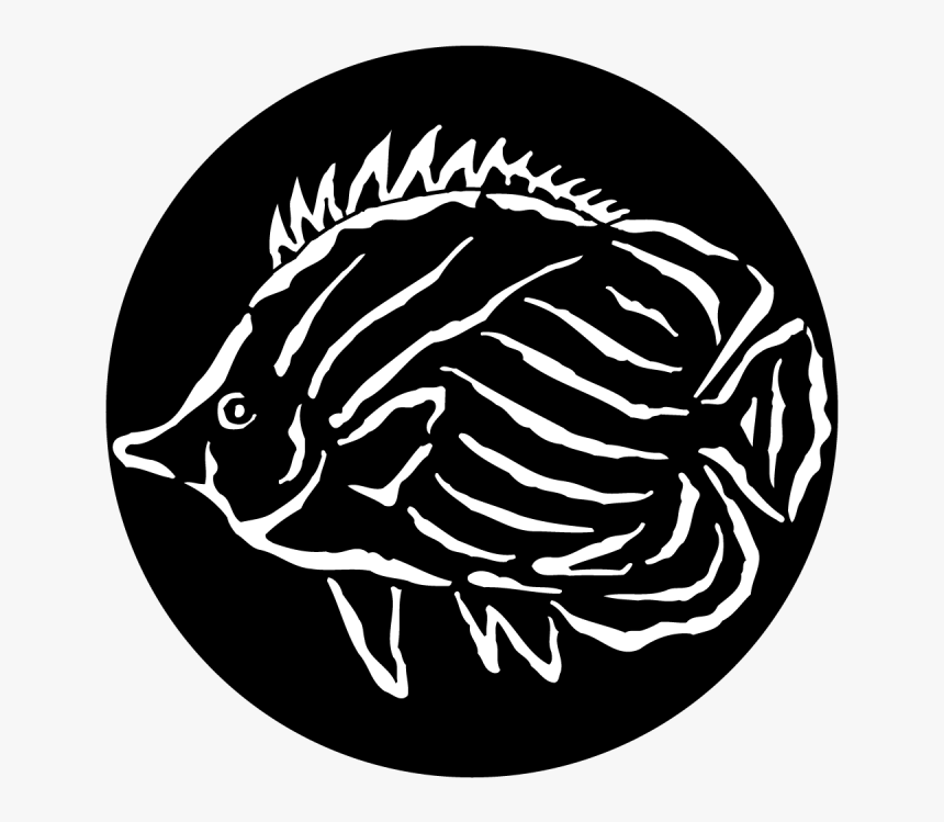Sea Tropical Fish - Gobo Patterns, HD Png Download , Transparent Png ...