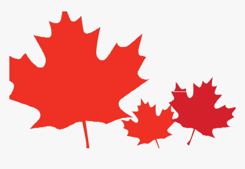 Transparent Canadian Leaf Png - Maple Leaf Clipart Border, Png Download ...