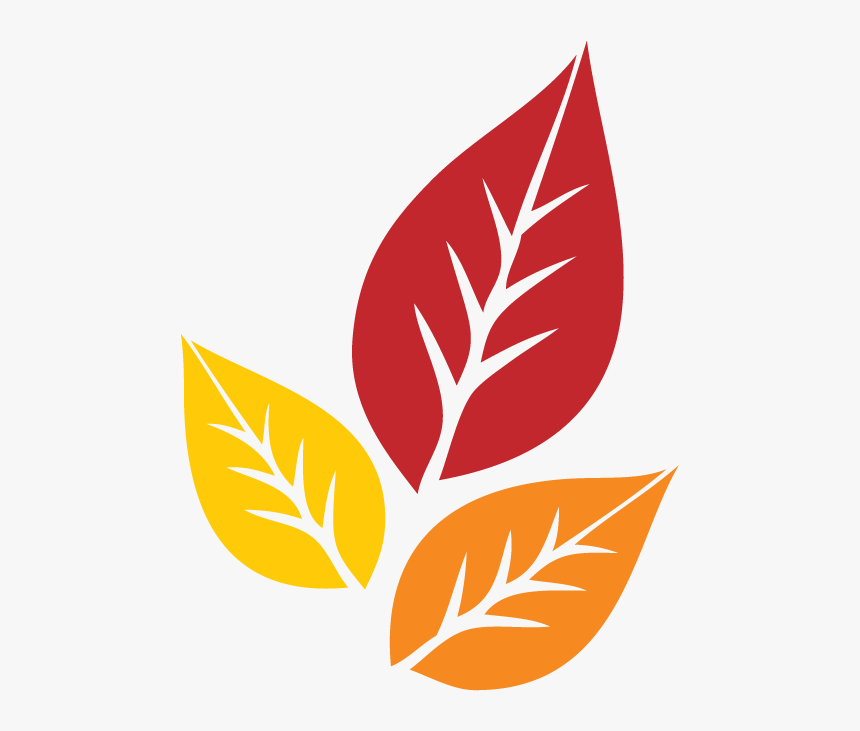 Three Leaf, HD Png Download , Transparent Png Image - PNGitem