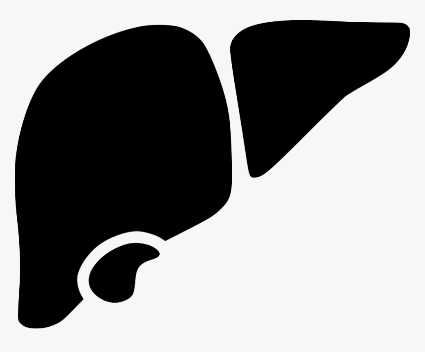 Liver - Liver Icon Png, Transparent Png , Transparent Png Image - PNGitem
