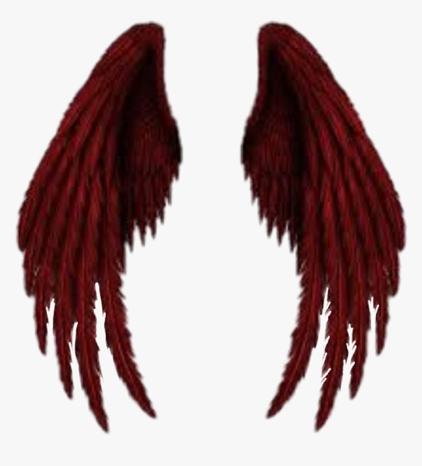 Demon Wings Png - Angel Of Death Wings, Transparent Png , Transparent ...