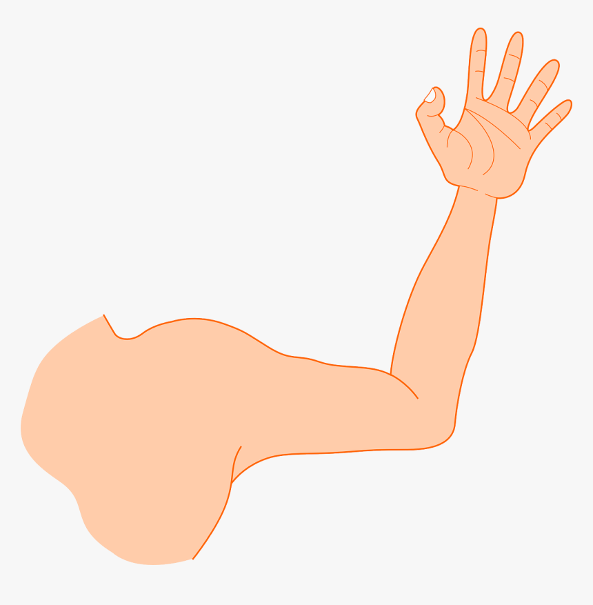 Hi Arm Png, Transparent Png , Transparent Png Image - PNGitem