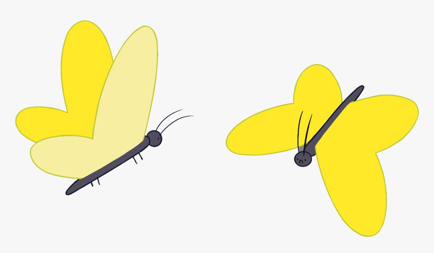 Adventure Time With Finn And Jake Wiki - Cartoon Butterfly Adventure ...